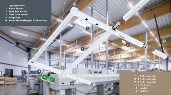 LED Linear Trunking Systems - LED Lights Manufacturer in China